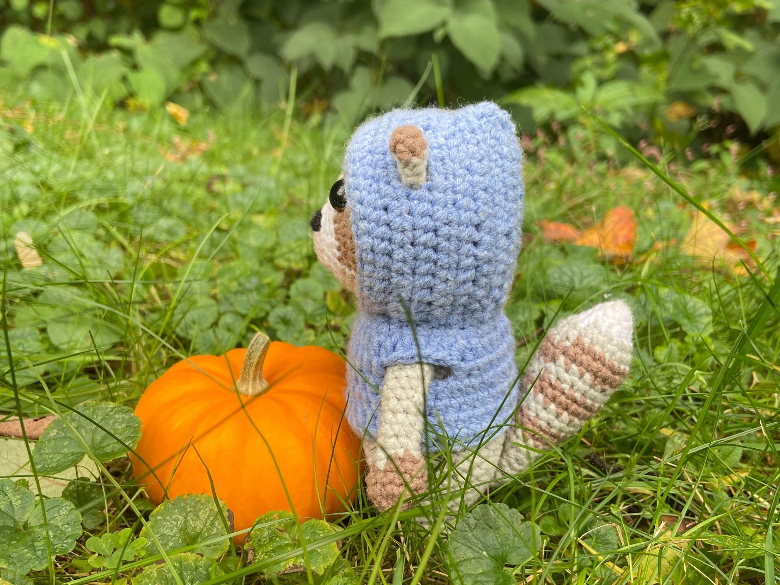 Crochet Pattern Raccoon in a Hoodie Forest Animals Woodland Creatures ...