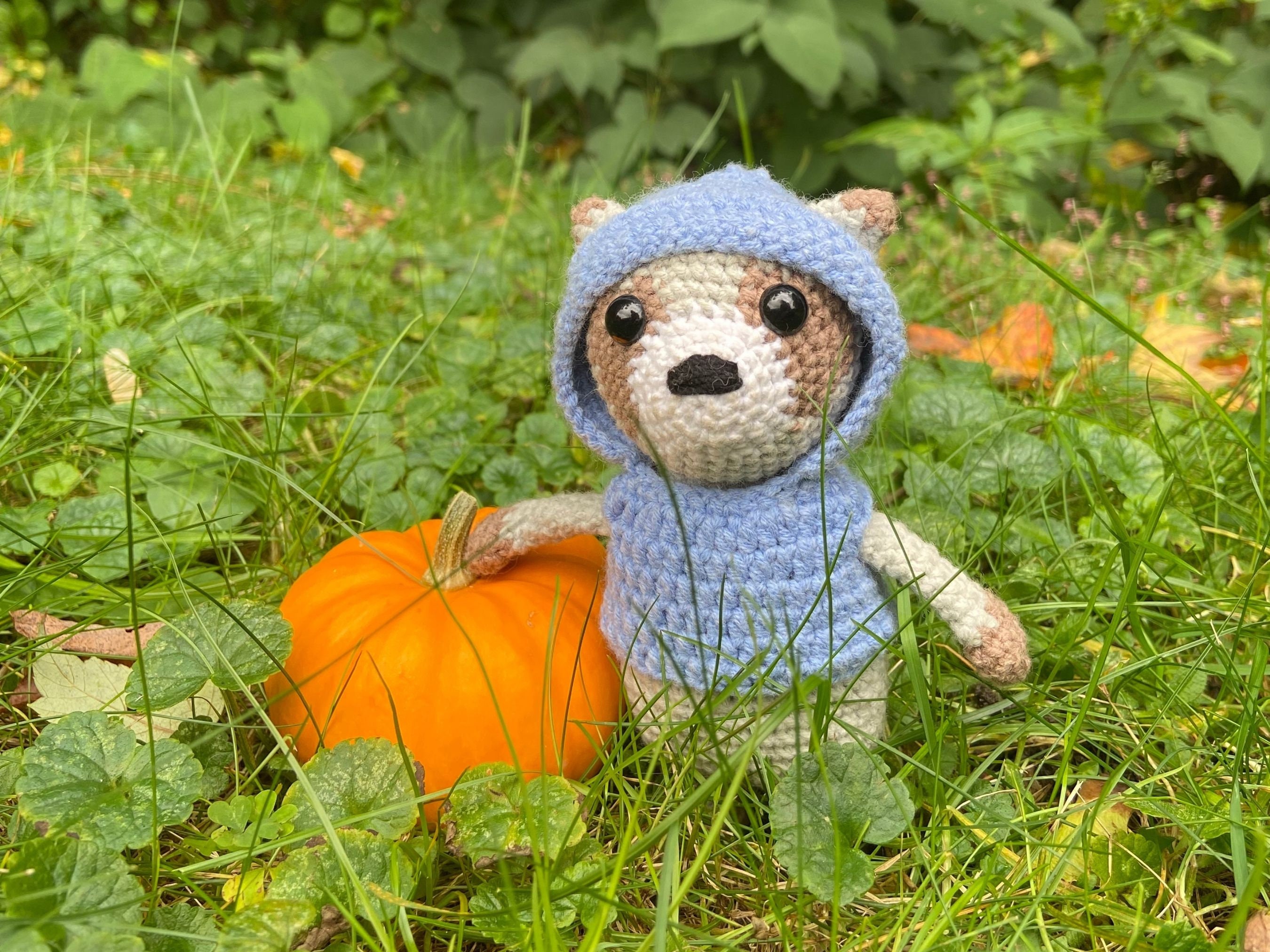 Crochet Pattern Raccoon in a Hoodie Forest Animals Woodland Creatures ...