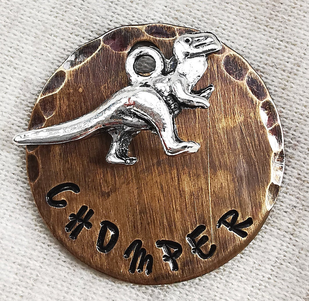 Pet ID Tag | T-rex Dog Tag | Dinosaur Dog Tag | Dog Tags for Dogs ...