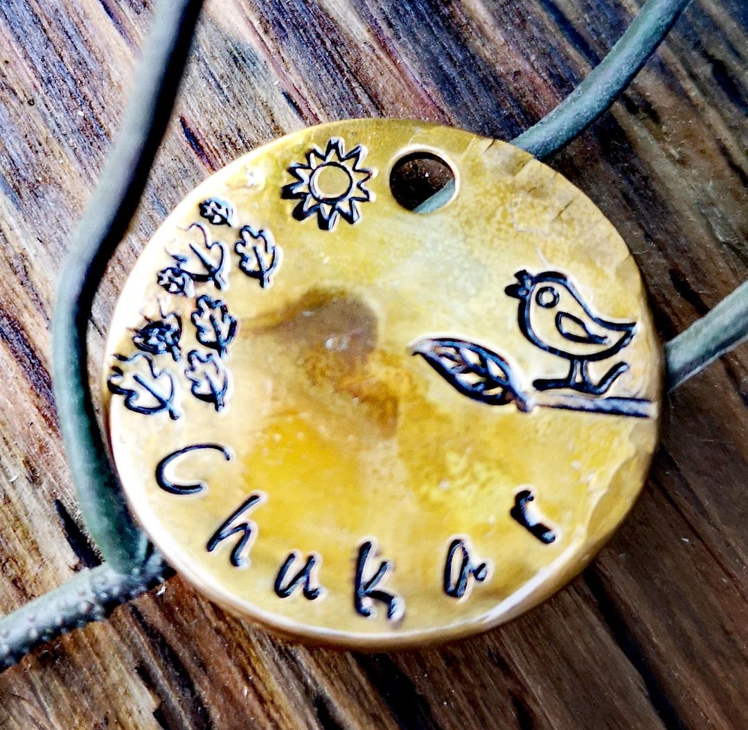 Pet Tag | Bird Dog Tag | Dog Tags for Dogs | Collar Tags | Cat Tags ...