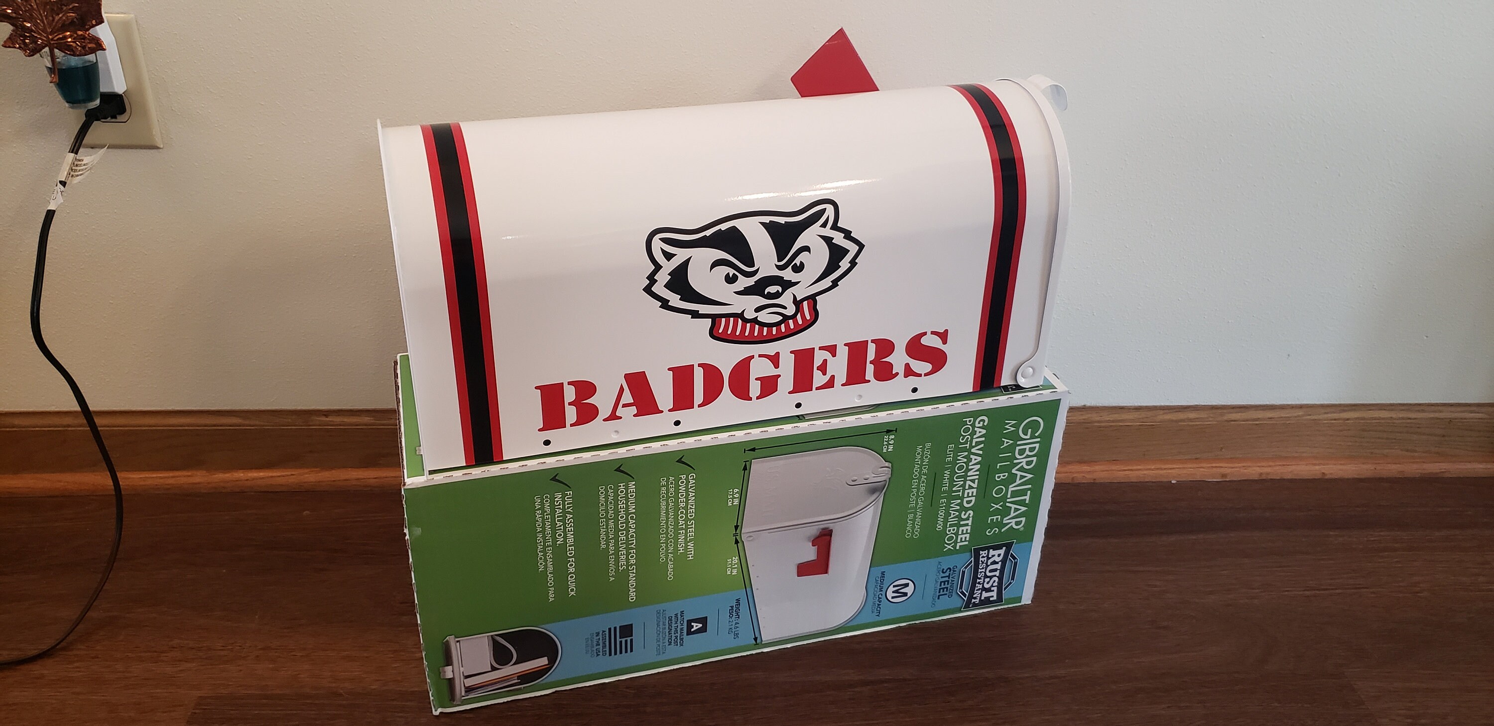 Custom Wisconsin Badger Bucky Football Fan Mailbox - Etsy