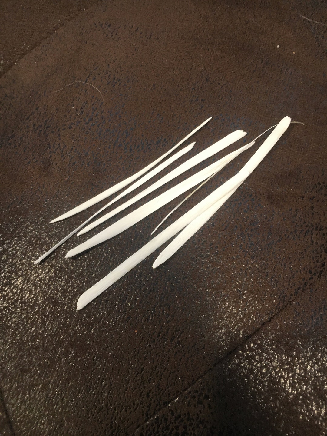 Anatomyalacarte: Bone Shards/ligaments - Etsy