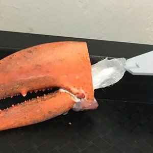 Crustacean Claws: Fixed or Moveable - Etsy