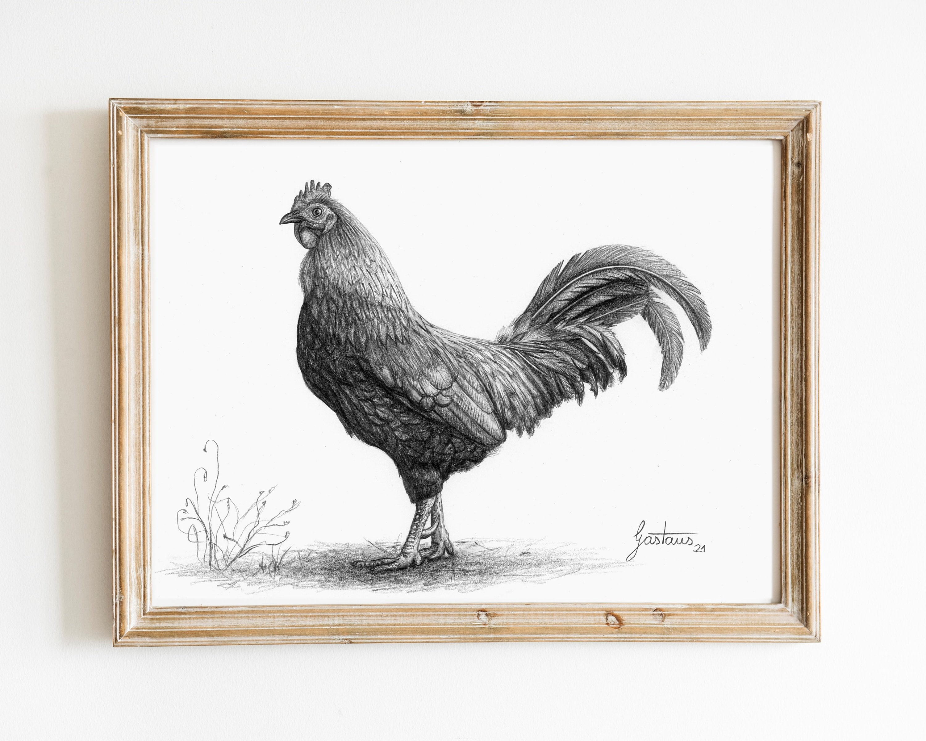 Rooster Art Black And White