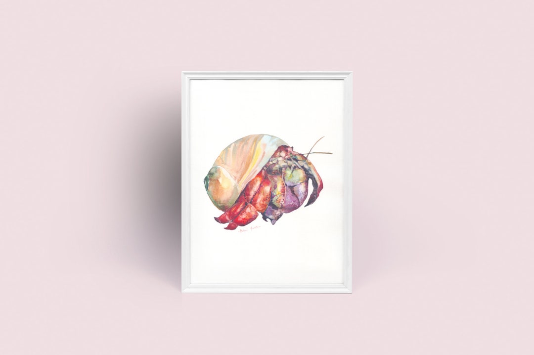 Hermit Crab Series No. 1 Giclée Art Print From Original Watercolor ...