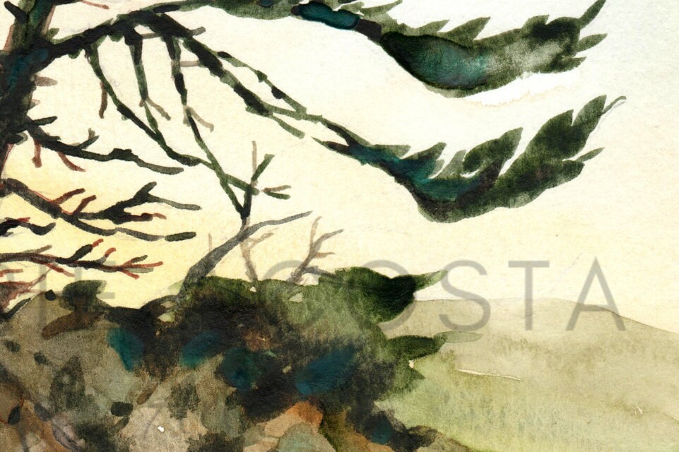 Windswept No. 1 Giclée Art Print From Original Watercolor Impression ...