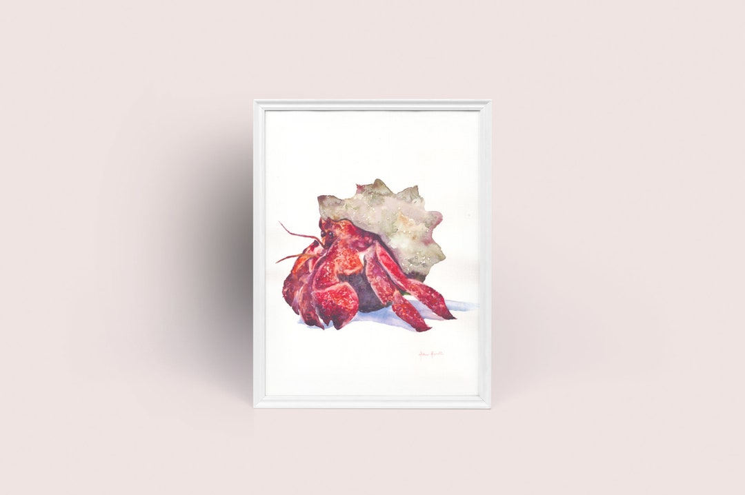 Hermit Crab Series No. 3 Giclée Art Print From Original Watercolor ...