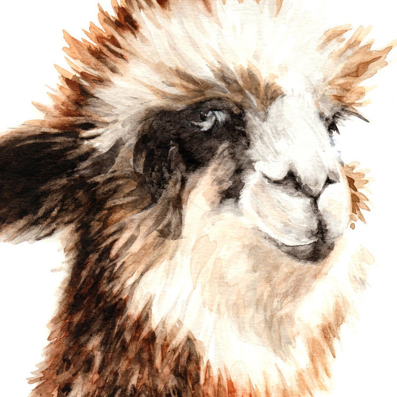 Llama Art Print From Original Watercolor Impression Painting - Etsy