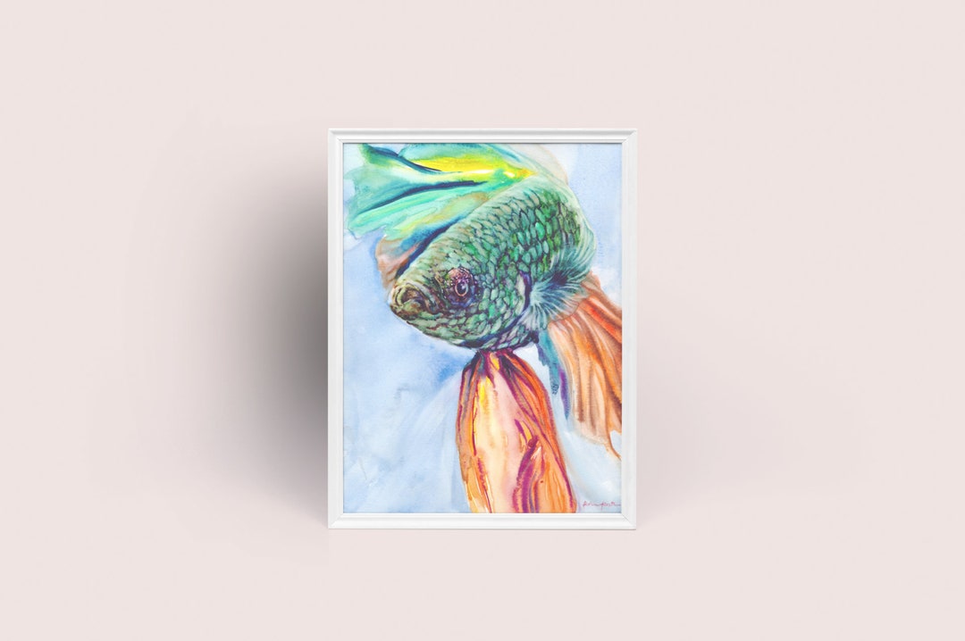 Aquarium Fish Series No.1 Giclée Art Print From Original Watercolor ...