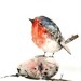 Colorful Birds Series No. 1 Downloadable Art From Original Watercolor ...