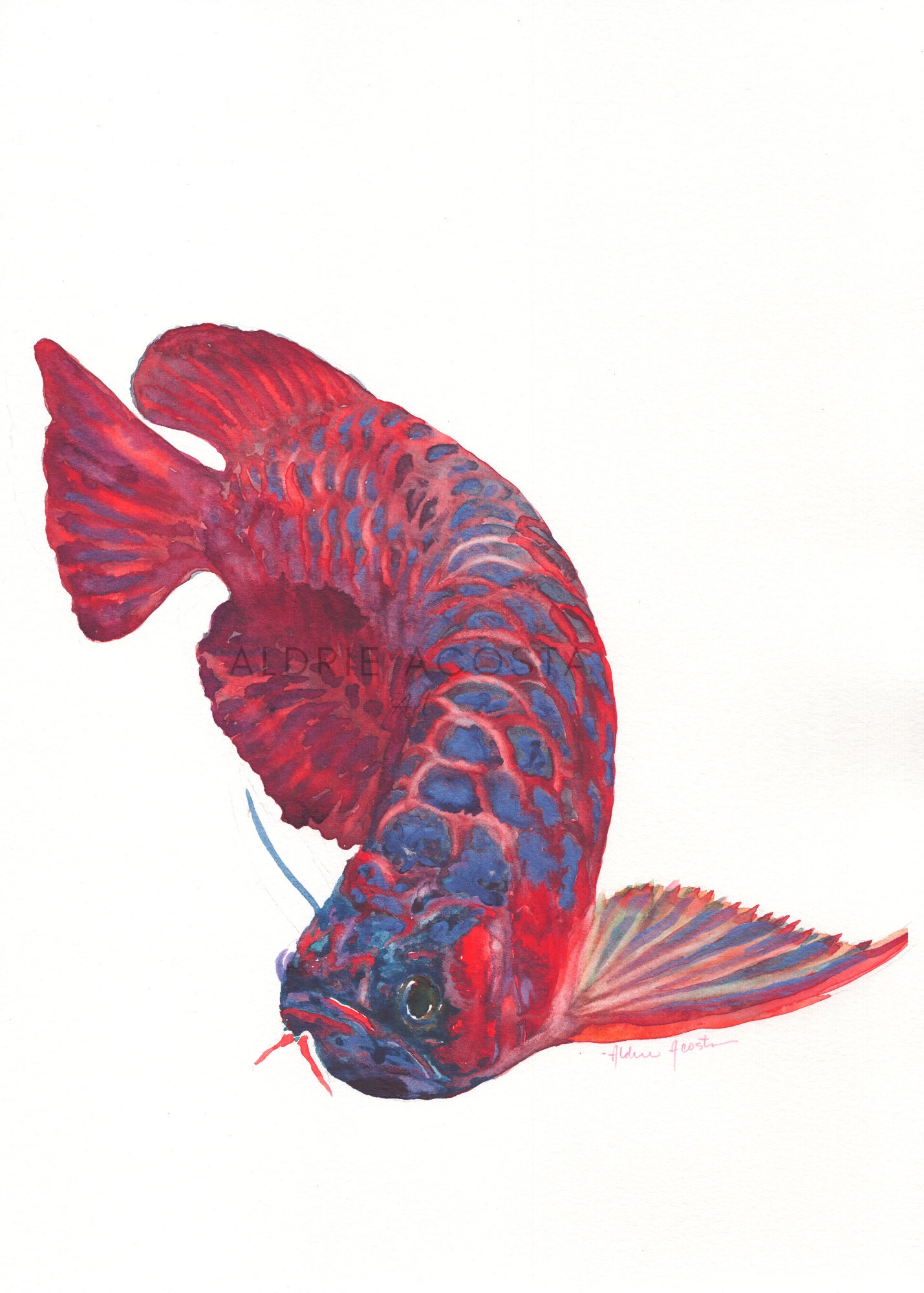 Aquarium Fish Series No.7 Original Watercolor Impression Painting ...