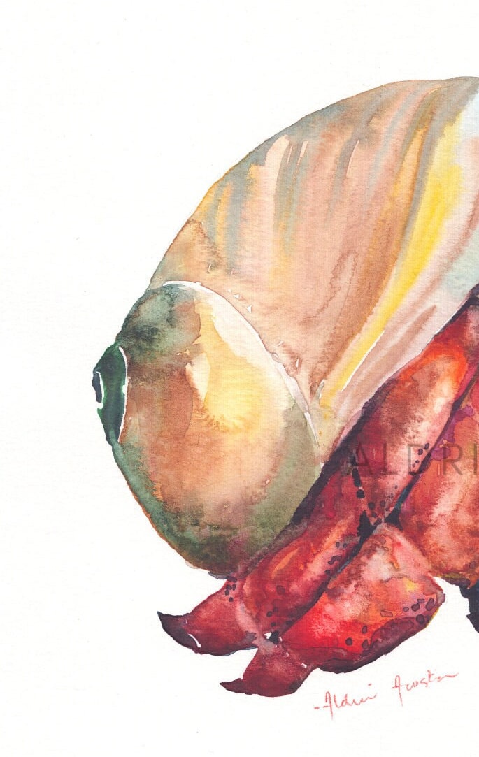 Hermit Crab Series No. 1 Giclée Art Print From Original Watercolor ...
