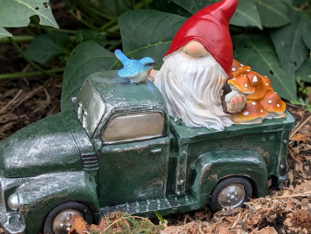 24cm Gnome Driving Ute – Fun and Whimsical Gnome Figurine for Garden or ...