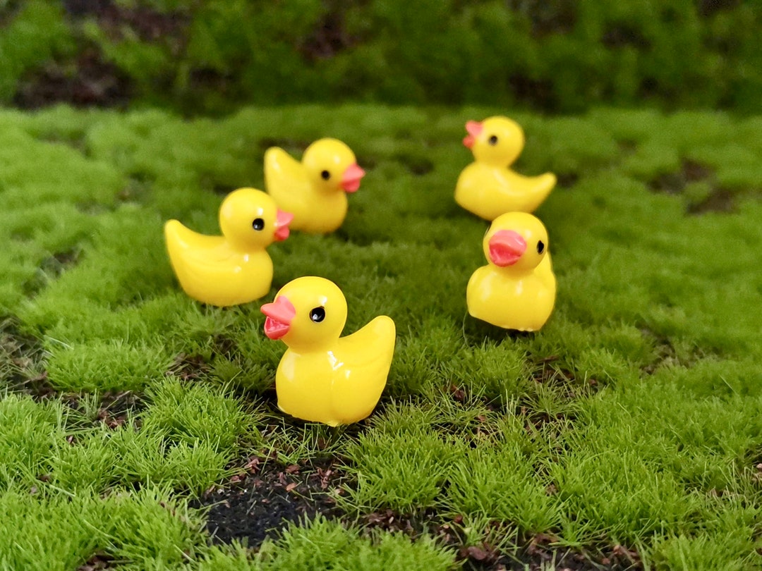 Miniature Duck for Fairy Garden Garden Terrarium Supply Decor Fairy ...