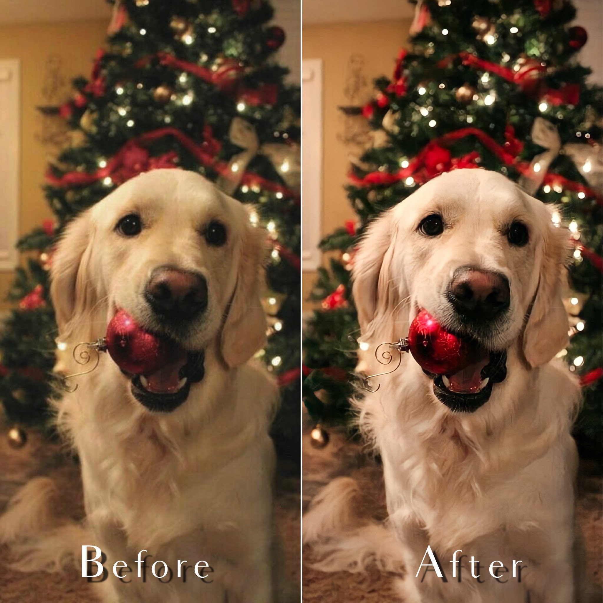 10 CHRISTMAS LIGHTROOM PRESETS for Mobile & Desktop for Sale Holiday ...