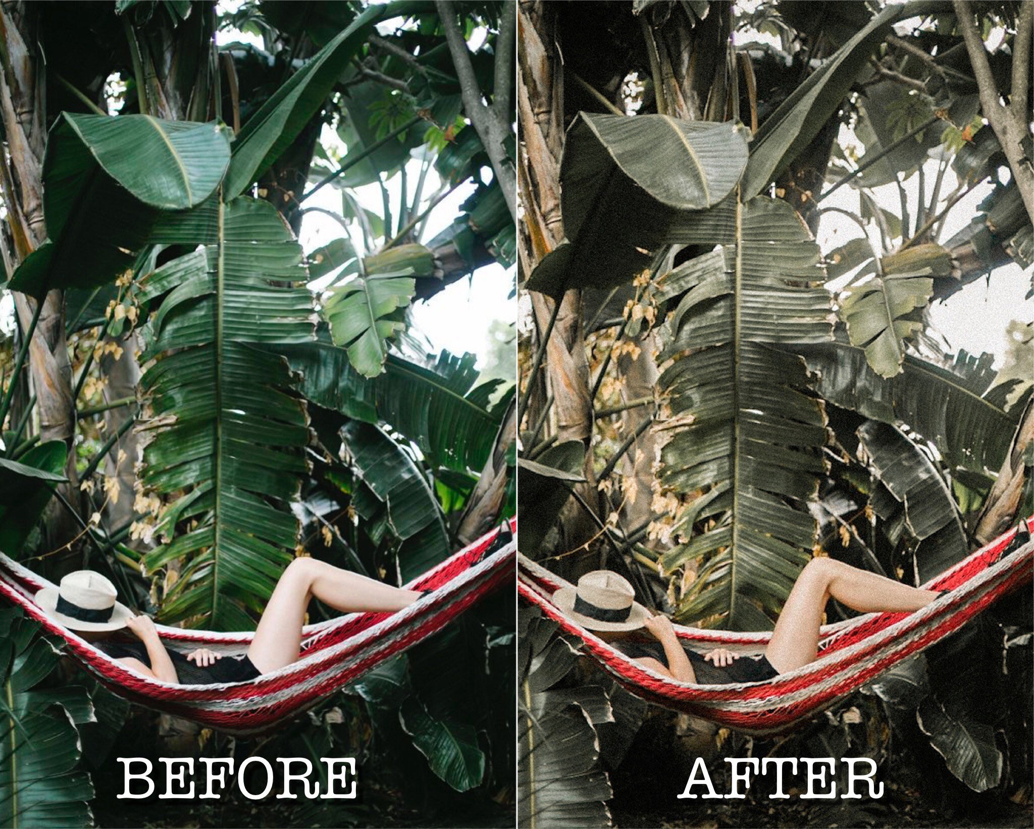 10 WILD GREEN LIGHTROOM Preset / Light Green Forest Photo Filter per ...