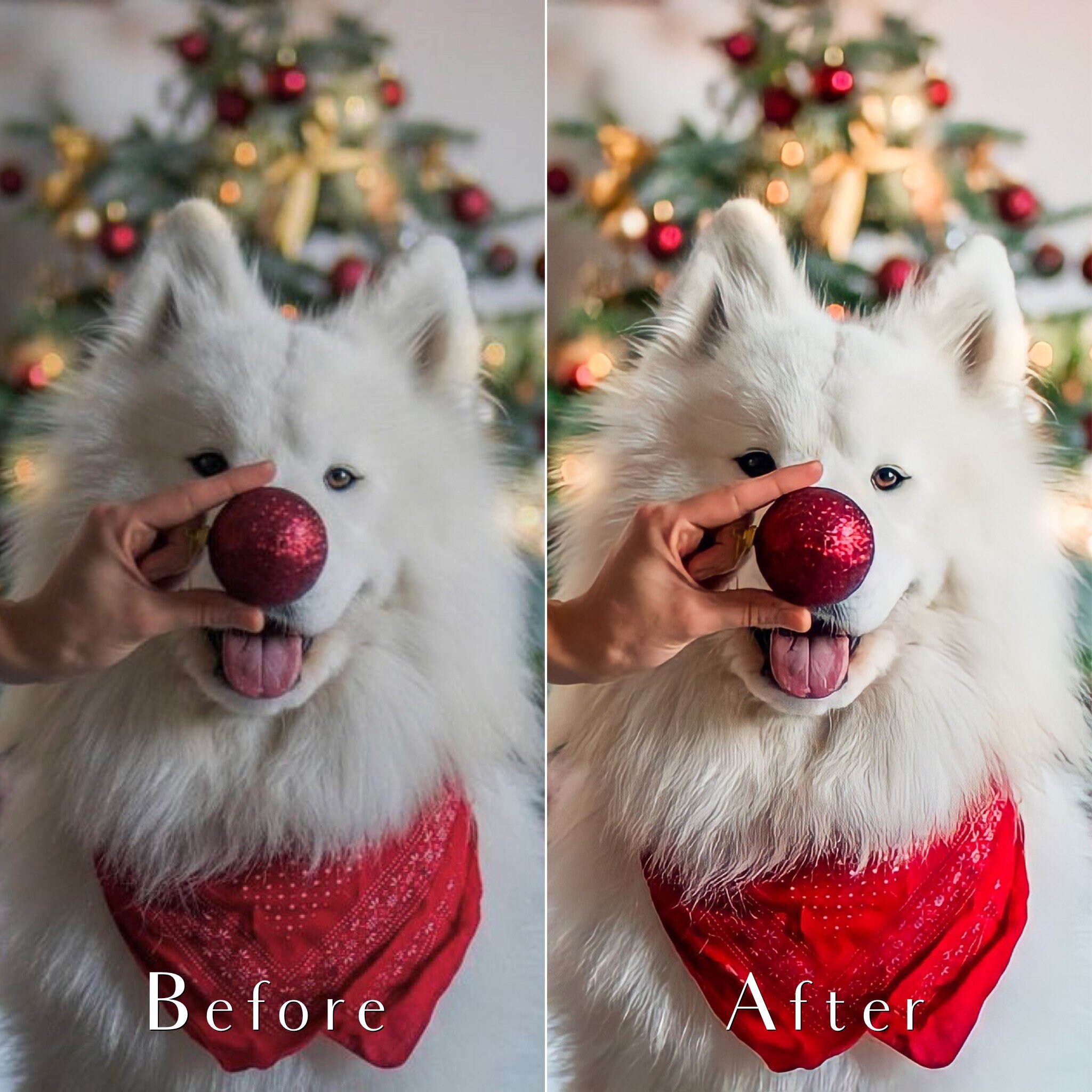 10 CHRISTMAS LIGHTROOM PRESETS for Mobile & Desktop for Sale Holiday ...