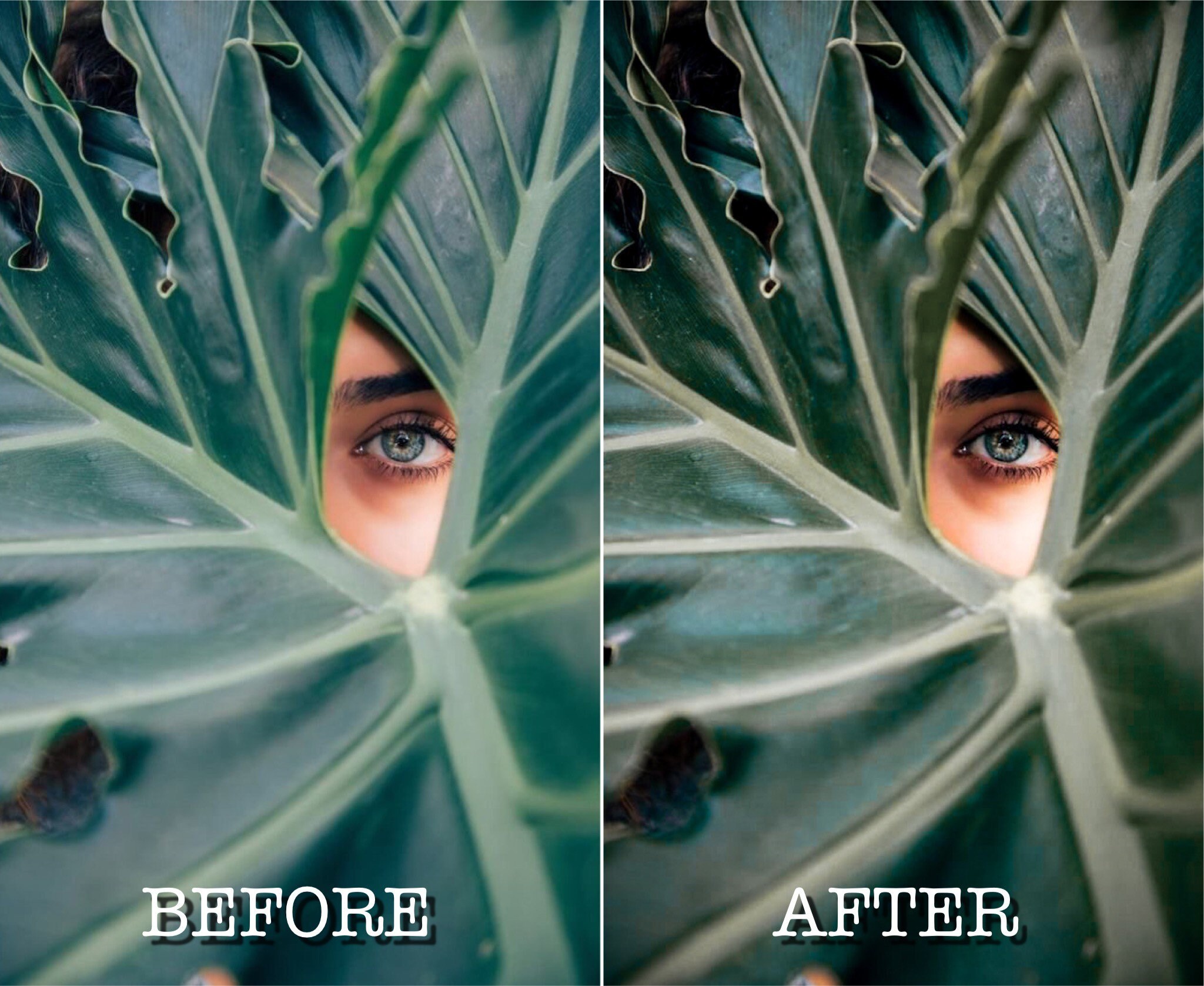 10 WILD GREEN LIGHTROOM Preset / Light Green Forest Photo Filter per ...