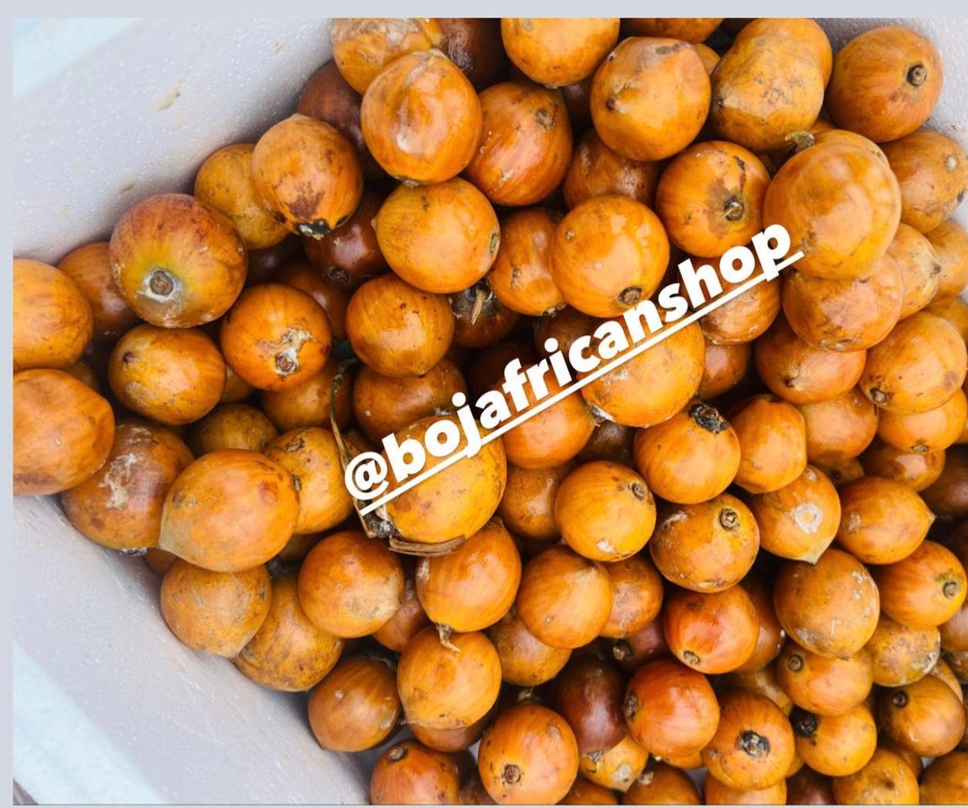 Cotonou Agbalumo/udara/african Cherry/african Star Apple-15 Pieces . - Etsy