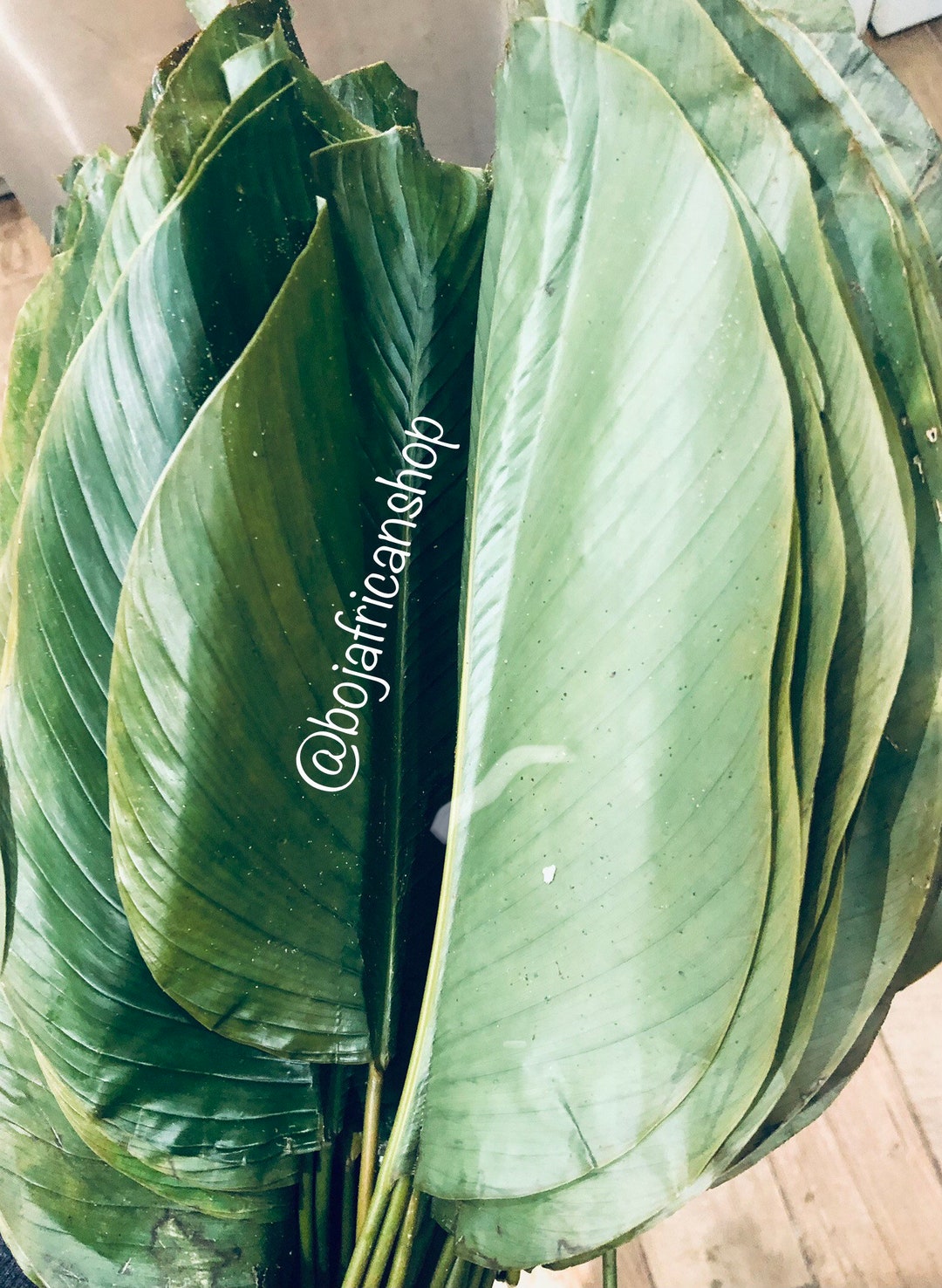 Moimoi Leaves for Moimoi Elewe/ekuru/ofada Wrap -frozen/ 30 Leaves ...
