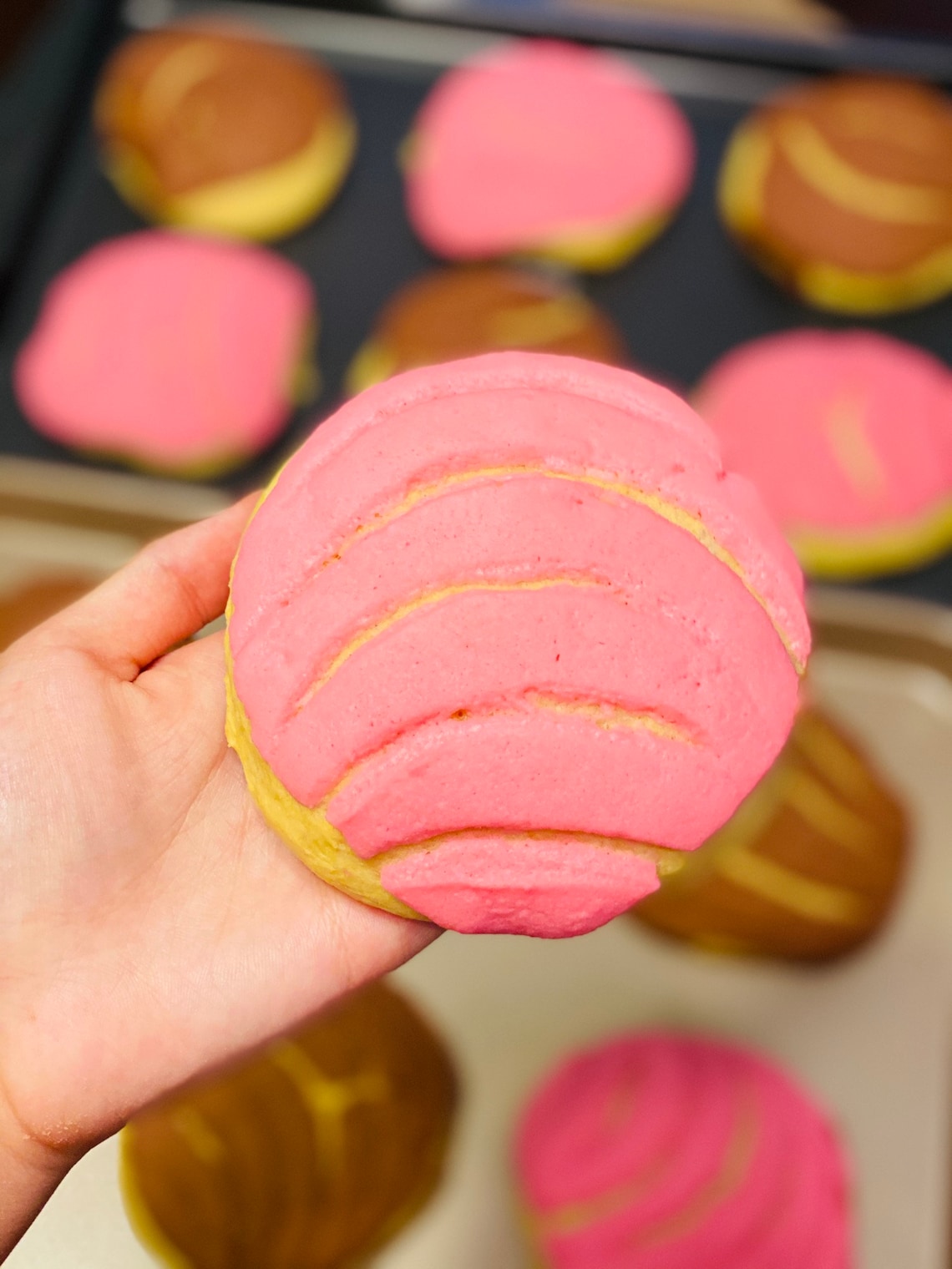 10 VEGAN Mini Conchas Mexican Pan Dulce/sweet Bread - Etsy