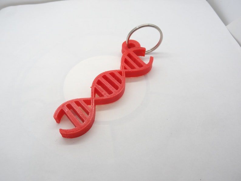 DNA Keychain 3D Printed - Etsy
