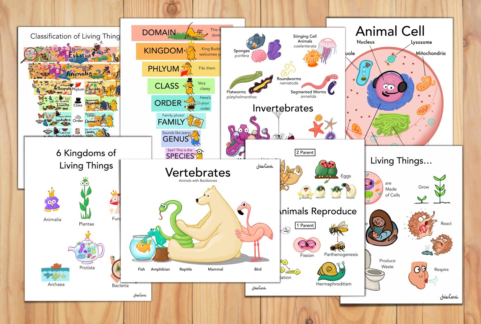 14 Biology Posters for Kids: Basic Life Science Memory Facts on 8 1/2 ...