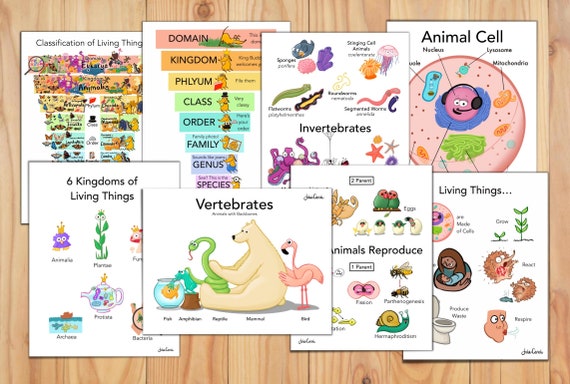 Classification Of Living Organisms Science Posters