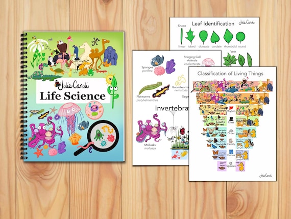 Classification Of Plants And Animals For Kids