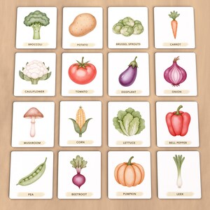 24 Watercolor Vegetables Flash Cards, Vegetables Memory Game Printable ...