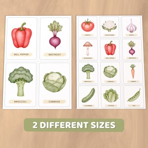 24 Watercolor Vegetables Flash Cards, Vegetables Memory Game Printable ...