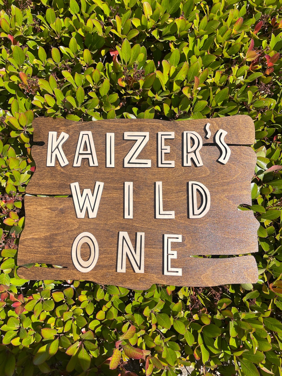 Wild One Sign Jungle Theme Party Birthday Party Backdrop Photo - Etsy