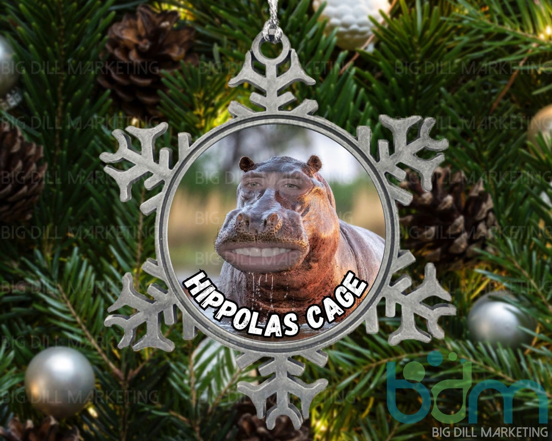 Hippolas Cage Snowflake Christmas Ornament | Nicolas Cage | Secret ...