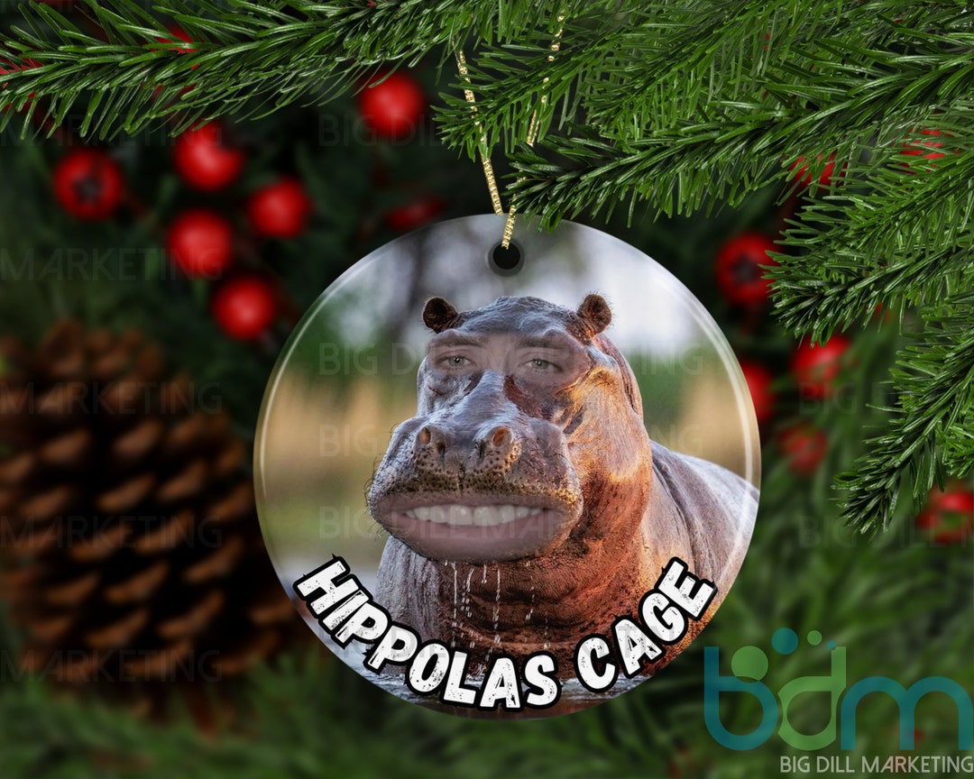 Hippolas Cage Ceramic Christmas Ornament | Nicolas Cage | Secret Santa ...