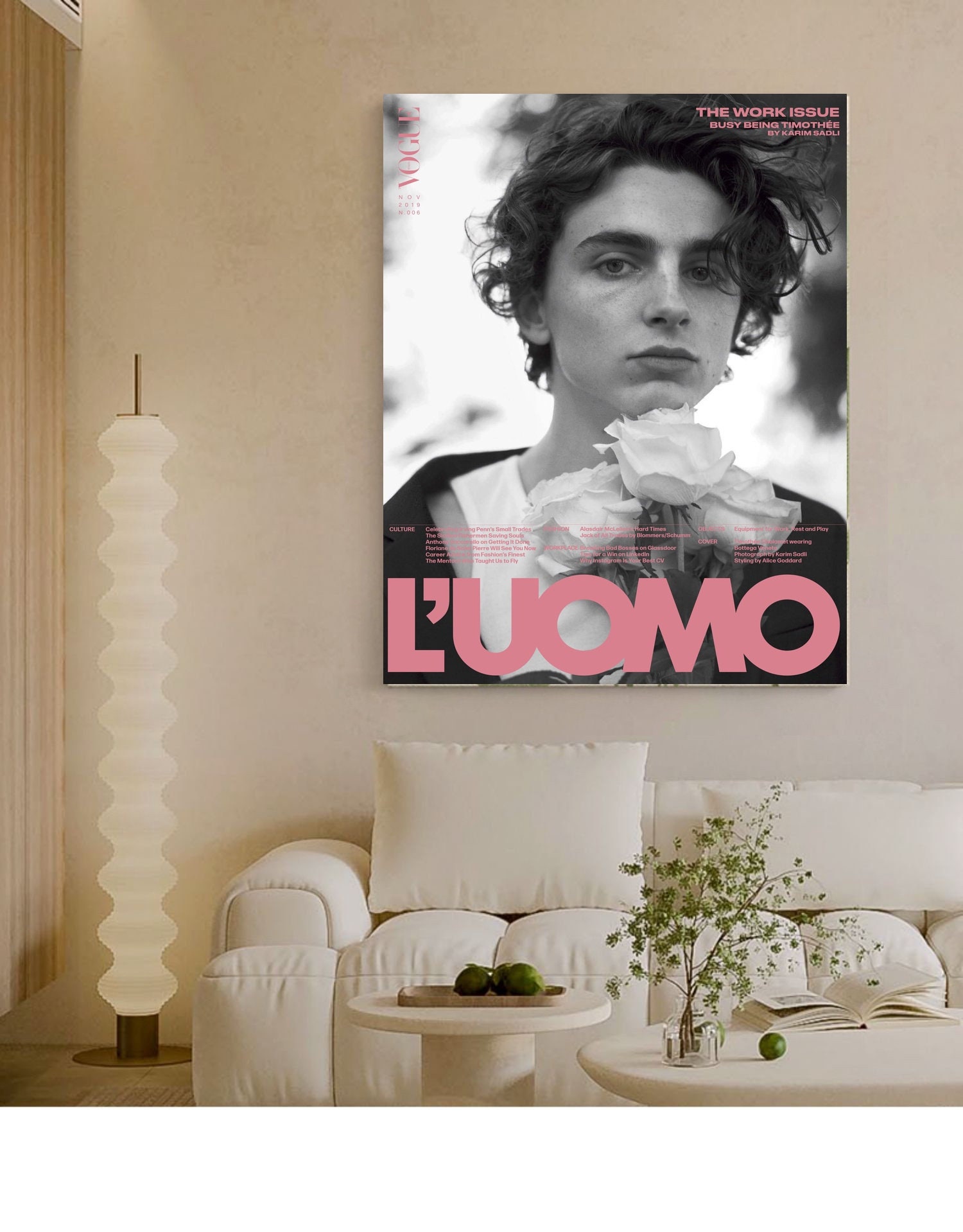 Timothee Chalamet Poster Canvas Poster Art Wall No Frame - Etsy