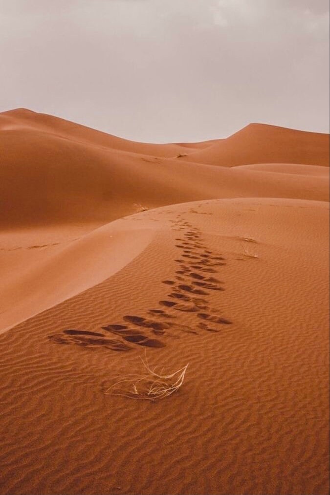 Earthy Aesthetic Blue, Green, & Tan Wall Art Collage Kit 60 IMAGES ...