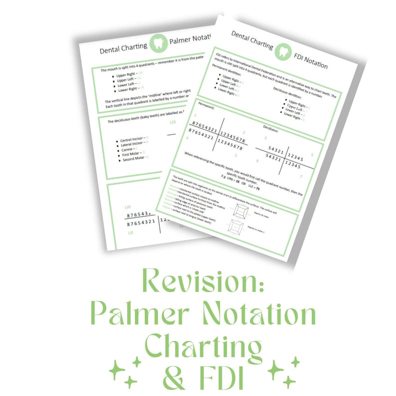 Dental Nursing Charting Revision - Etsy