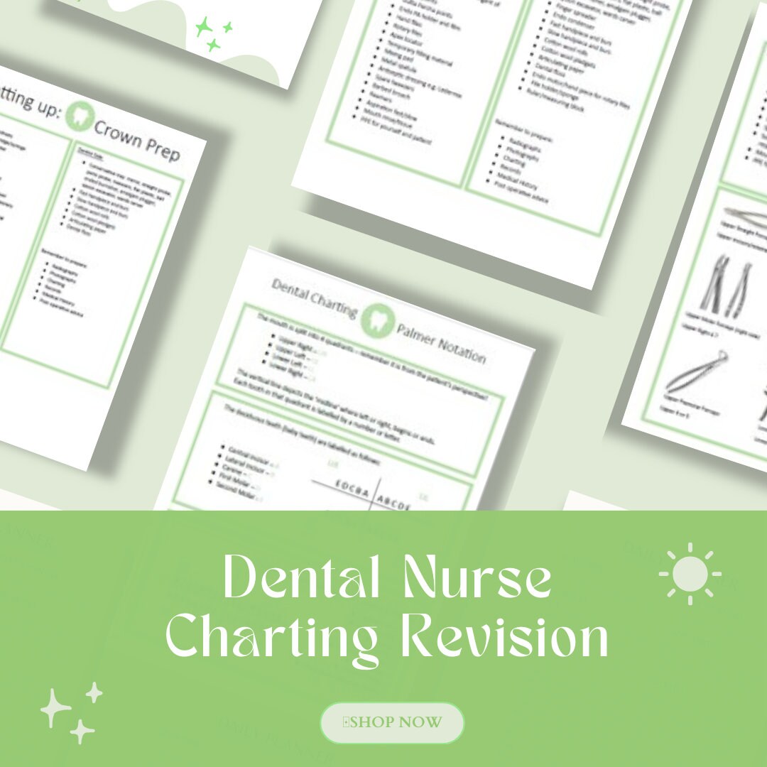 Dental Nursing Charting Revision - Etsy
