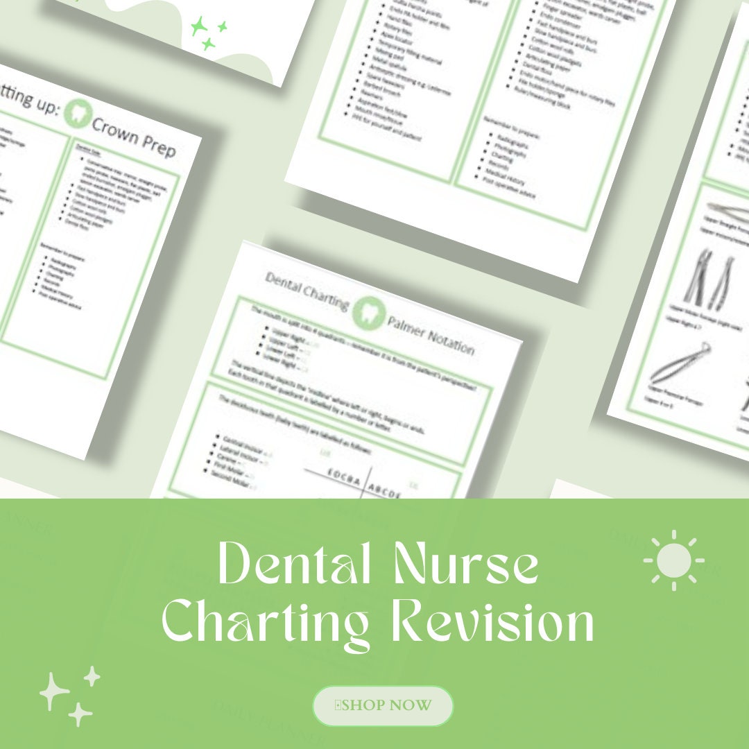 Dental Nursing Charting Revision - Etsy