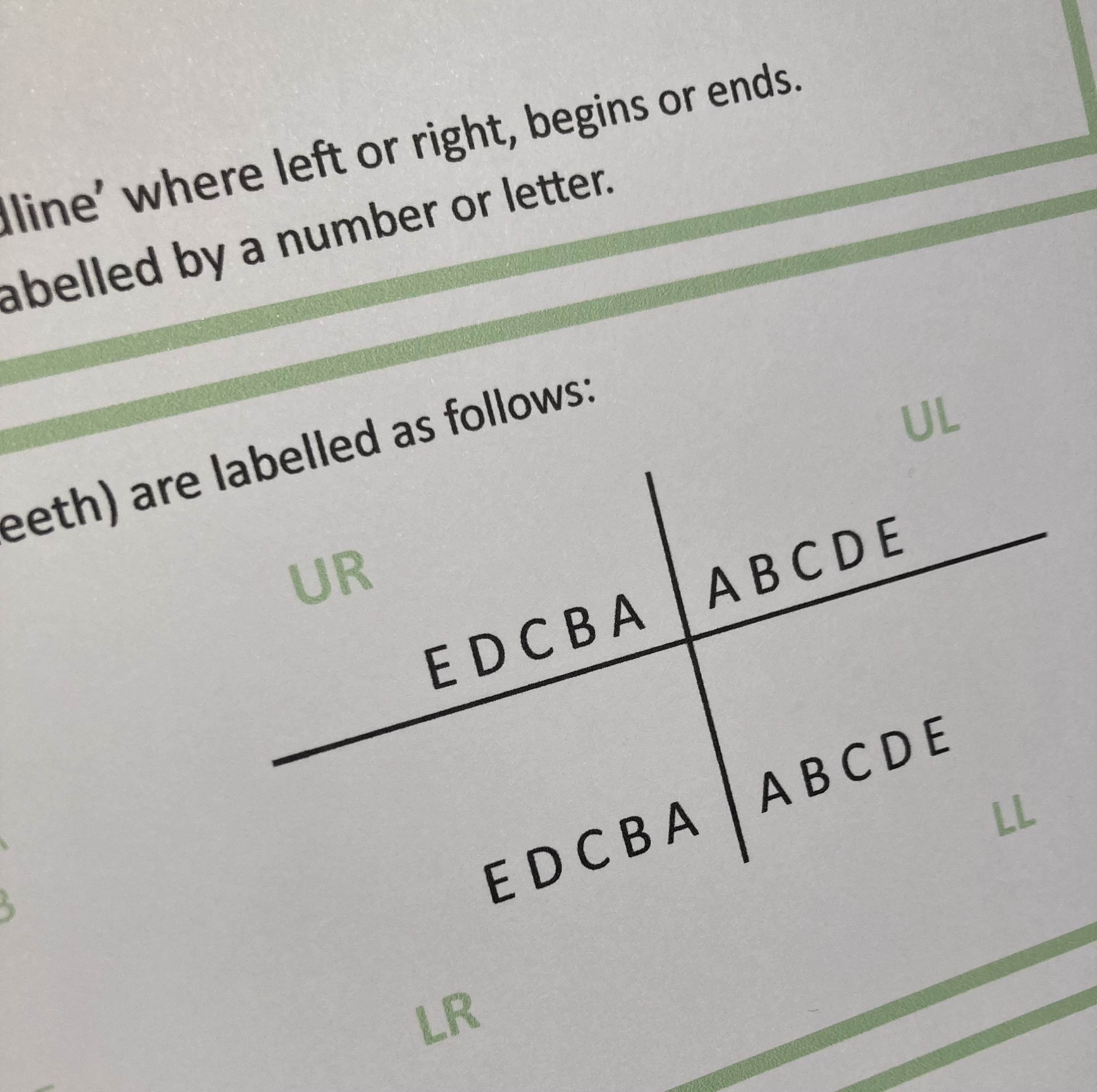 Dental Nursing Charting Revision - Etsy
