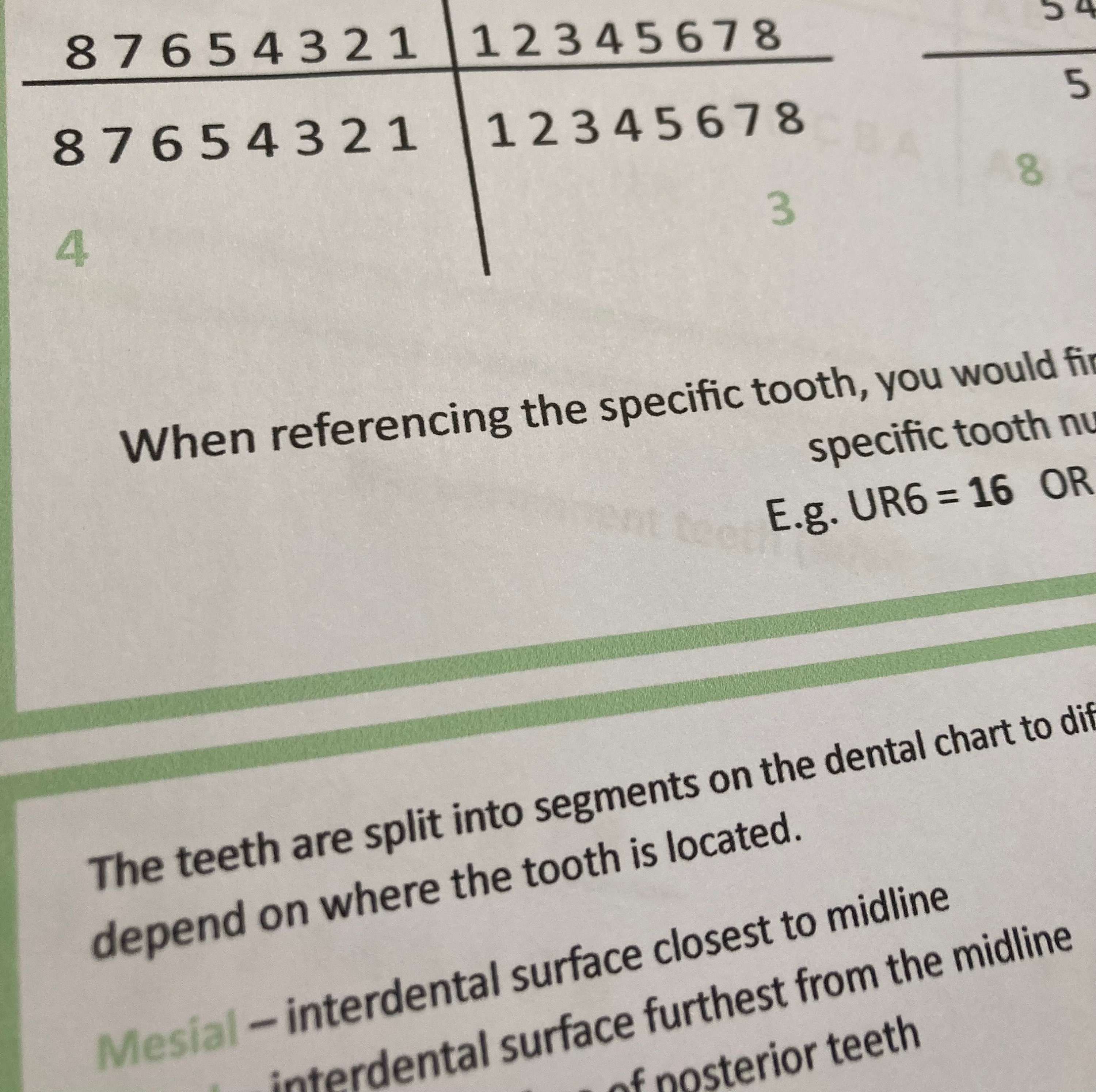 Dental Nursing Charting Revision - Etsy