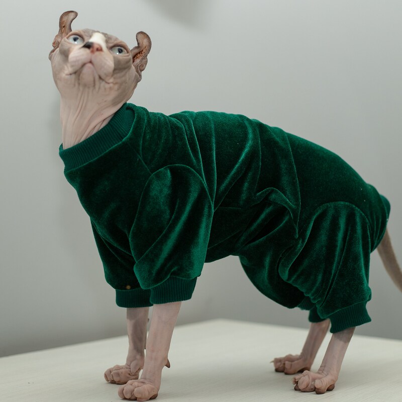 Cat Clothes - Etsy