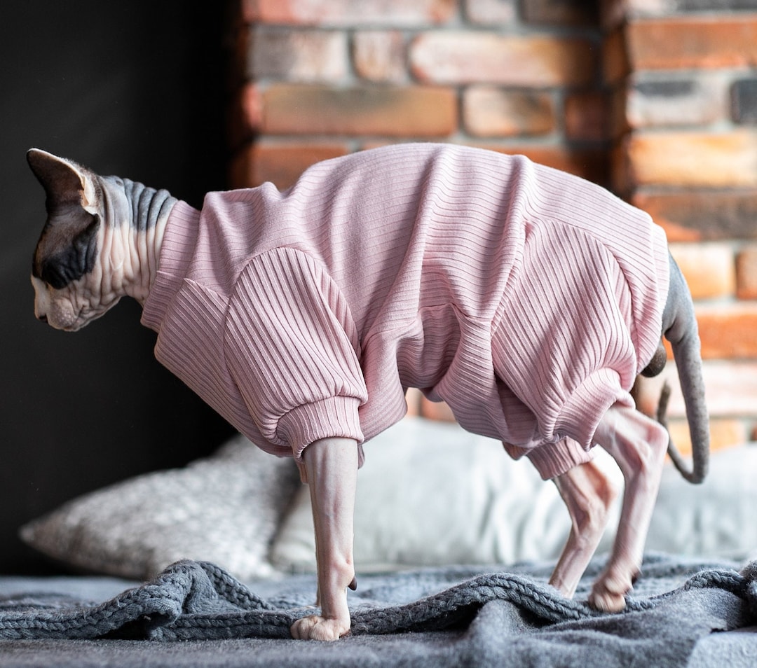Sphynx Cat Clothes - the Best for Your Furry or Hairless Cat | Paw ...