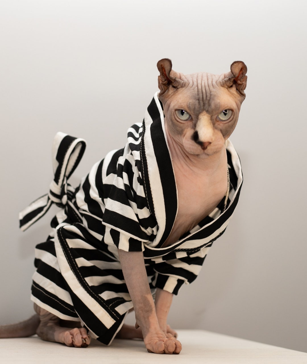 Clothes for Cats, Cat Bathrobe: Handmade Luxury for Your Feline Friend ...