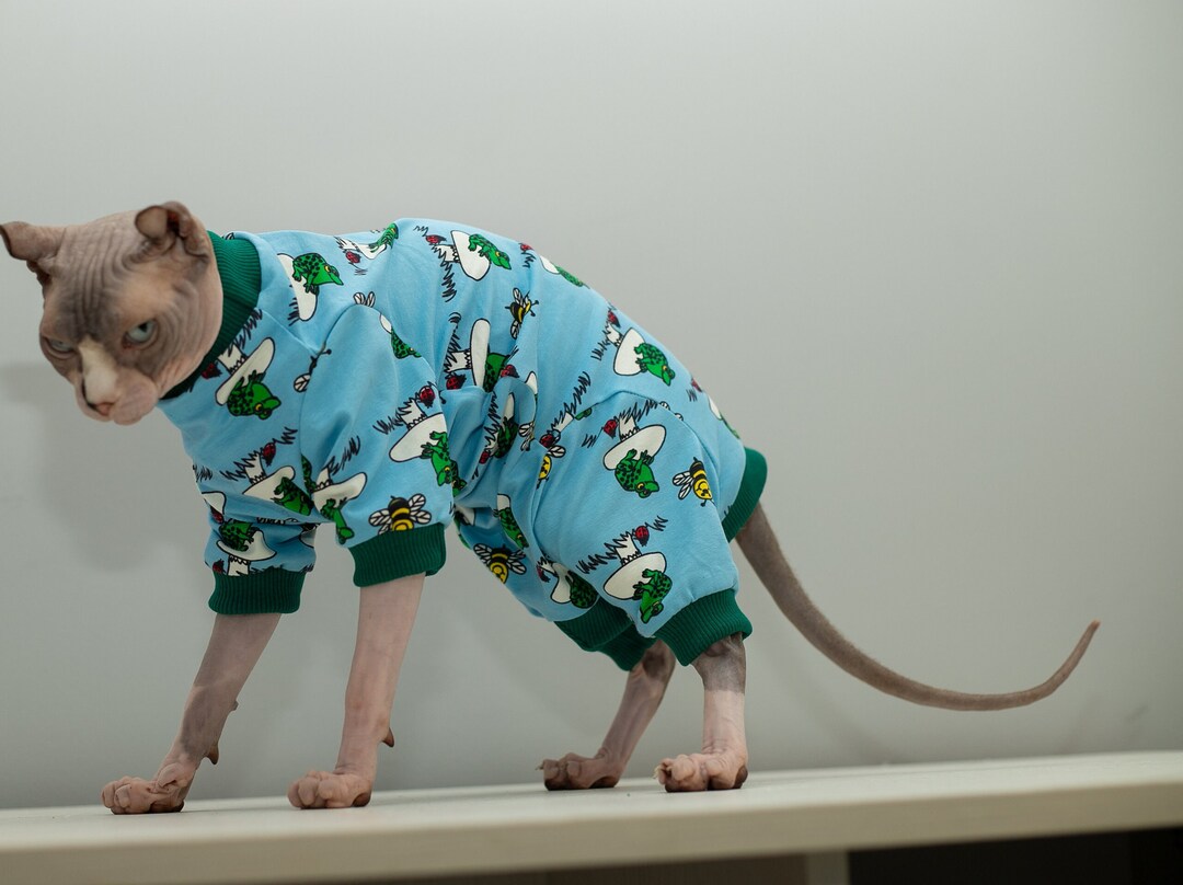 Nice Cat Costume. Sphynx Cat Clothes Jumpsuit , Sweater for Cat ...