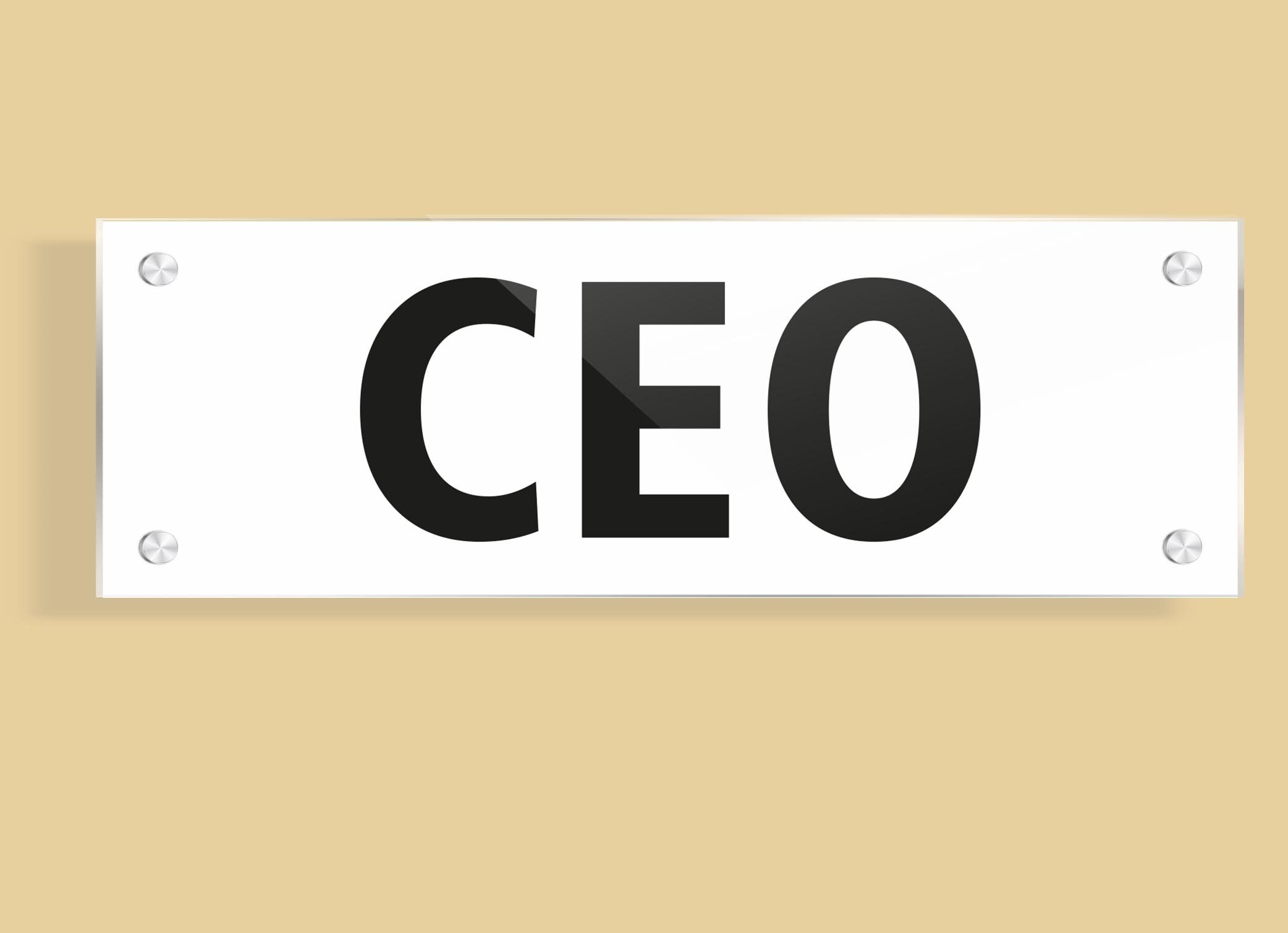 CEO Office Sign Workplace Plaque Indoor Outdoor Decor | Etsy