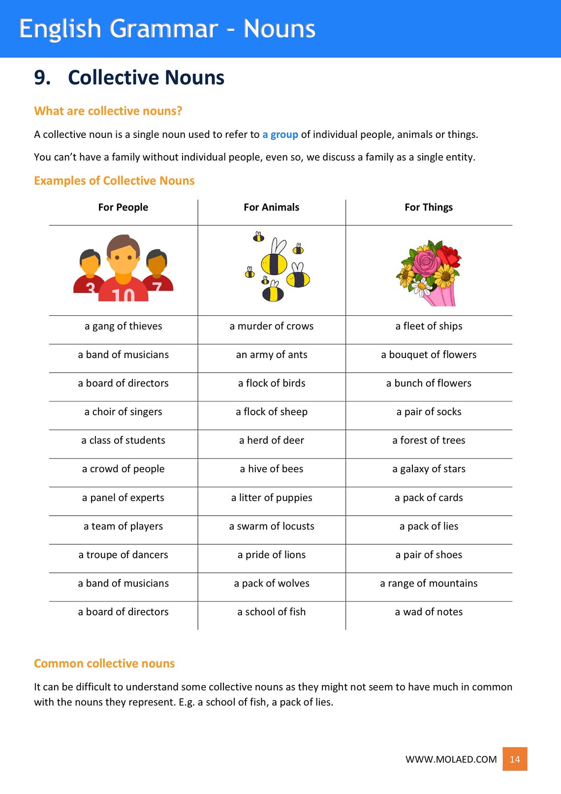 English Grammar Nouns Reference and Practice Ebook - Etsy