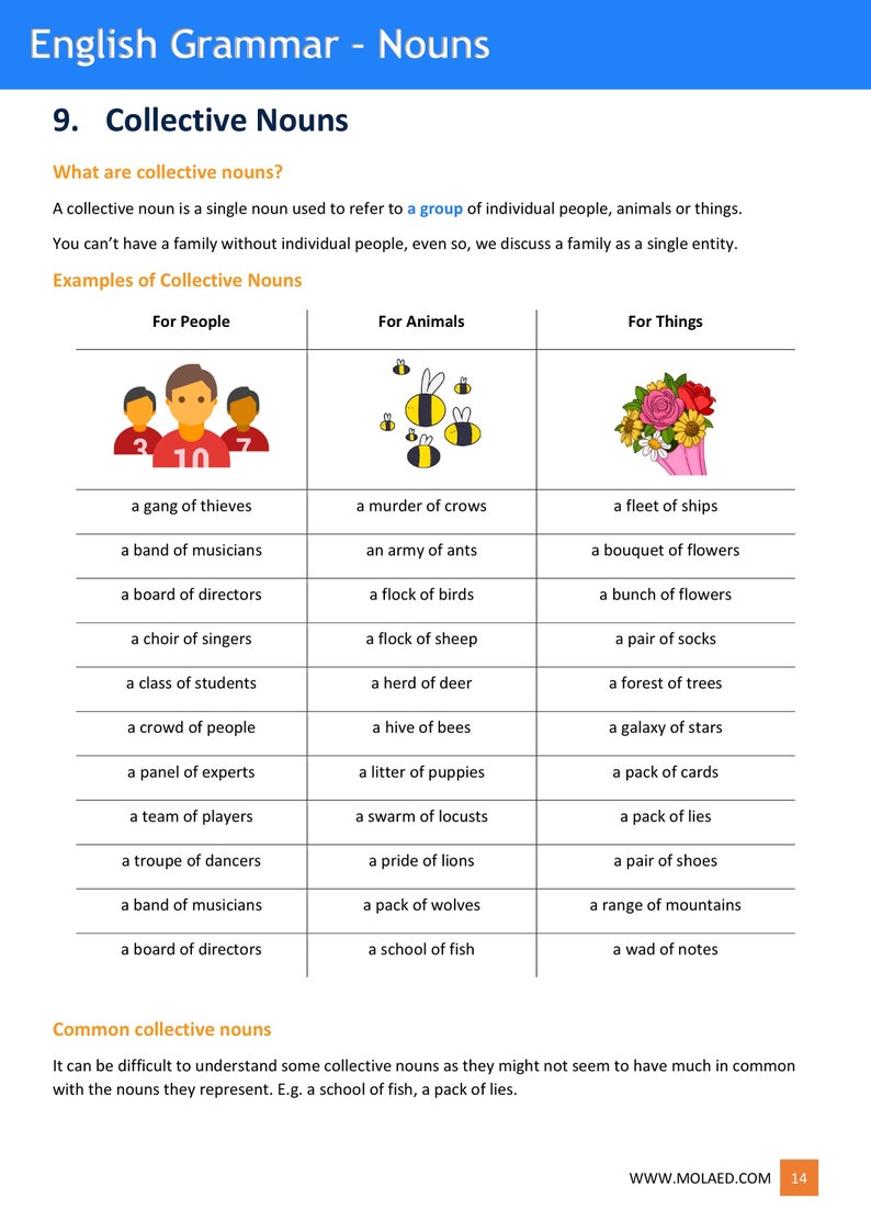 English Grammar Nouns Reference and Practice Ebook - Etsy