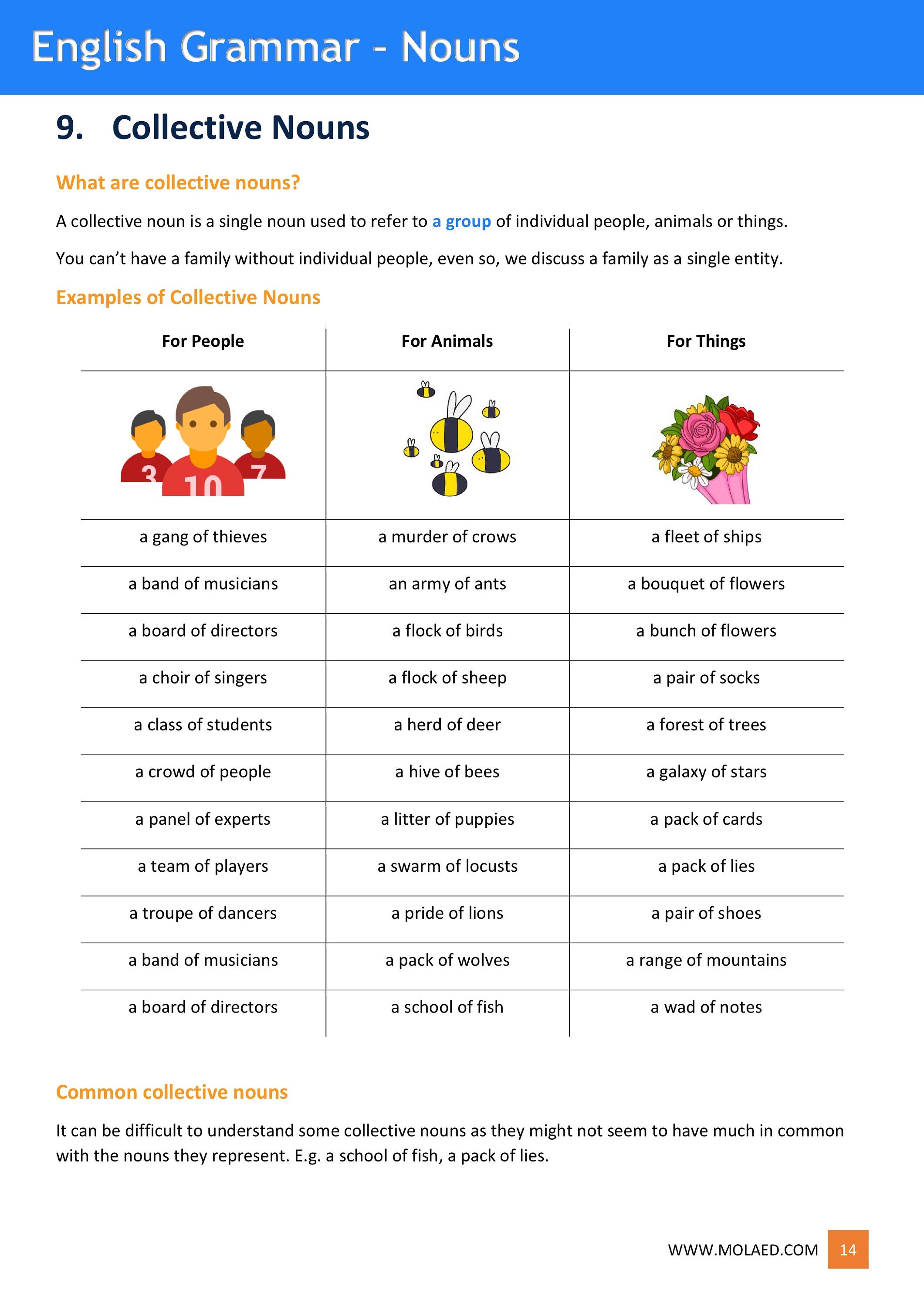 English Grammar Nouns Reference and Practice Ebook - Etsy