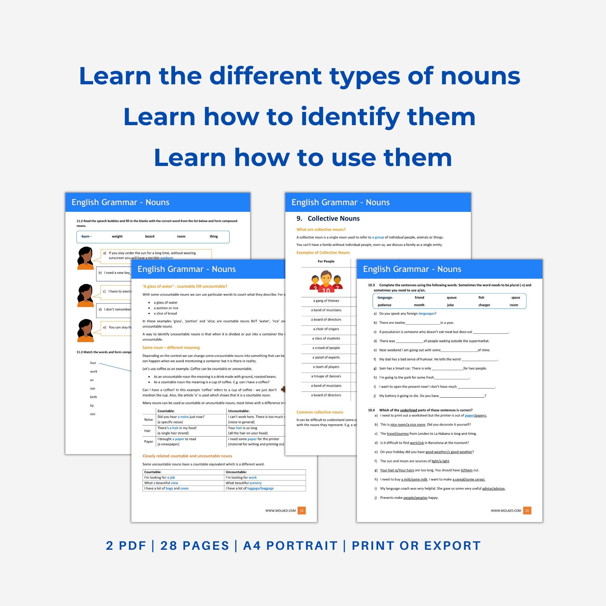 English Grammar Nouns Reference and Practice Ebook - Etsy